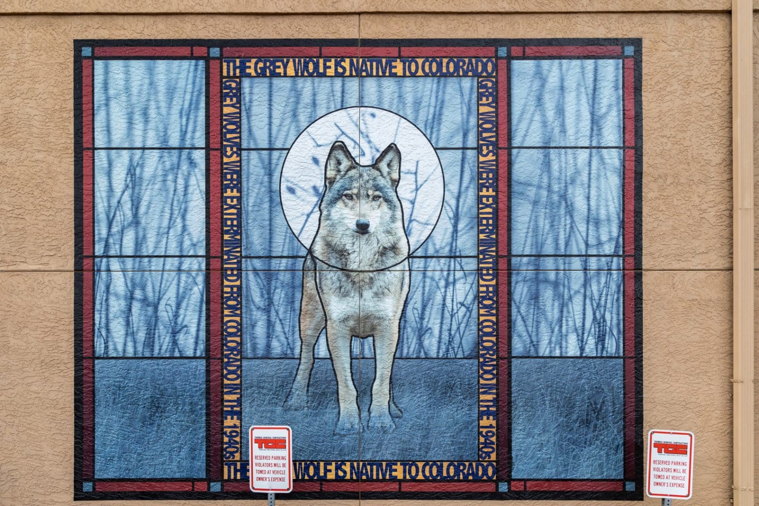 Grey Wolf - Downtown Partnership